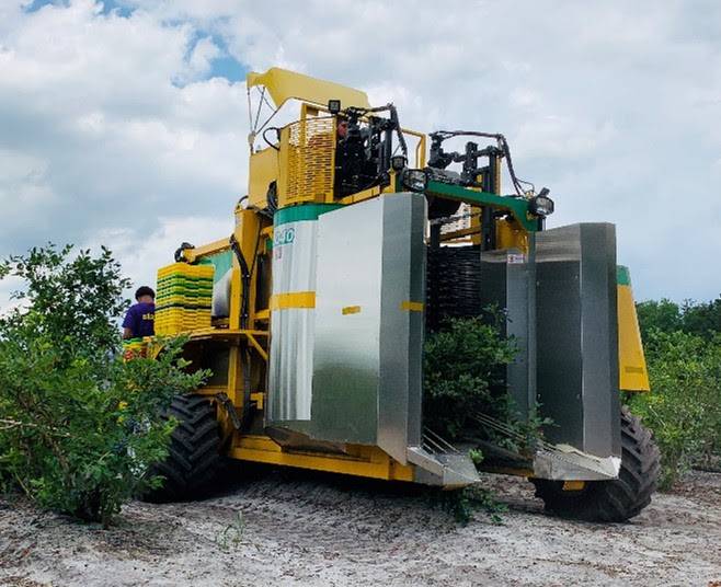Oxbo Announces New Blueberry Harvester Dealer Sapelo Equipment Company